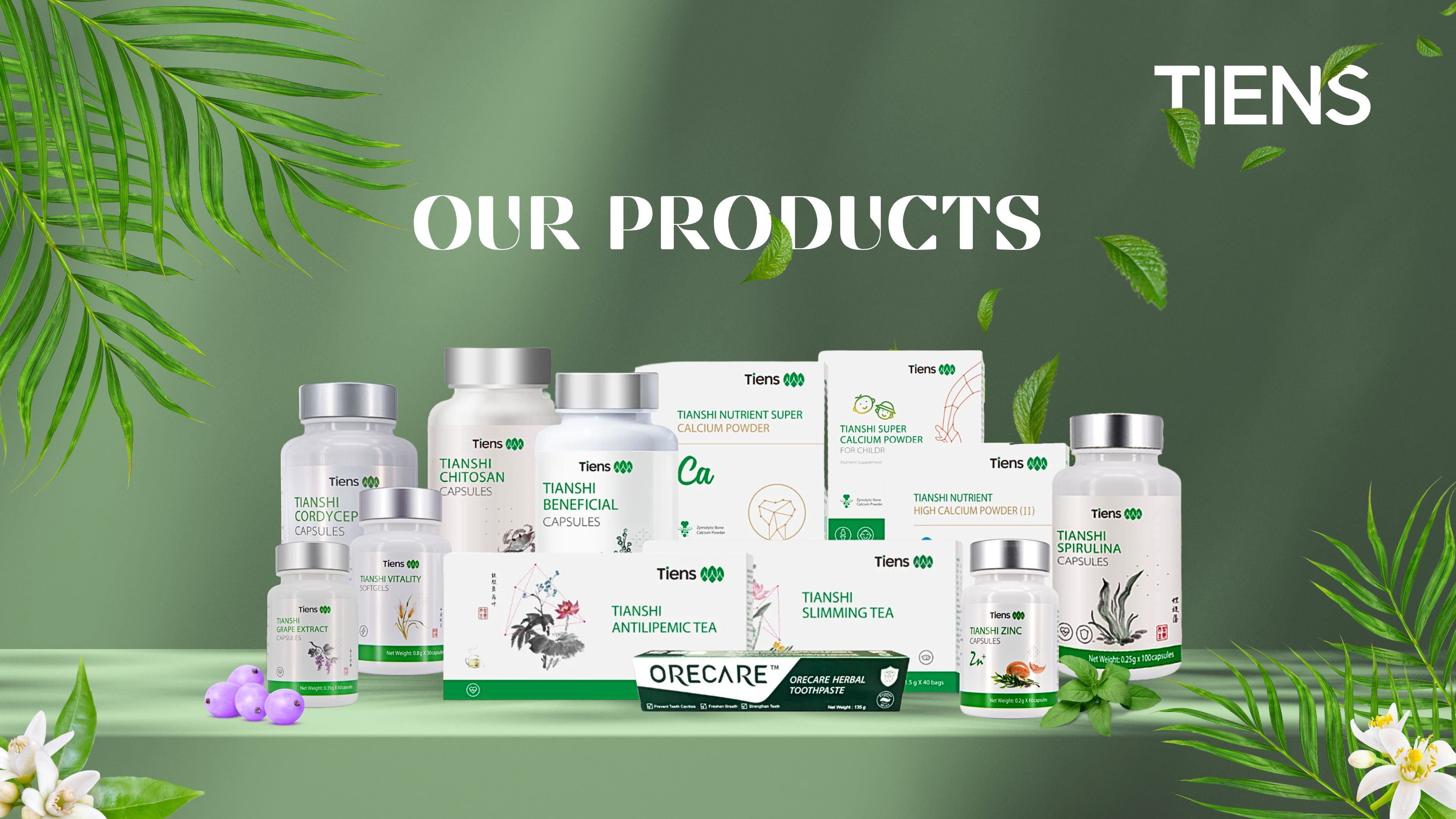 TIENS Products Categories